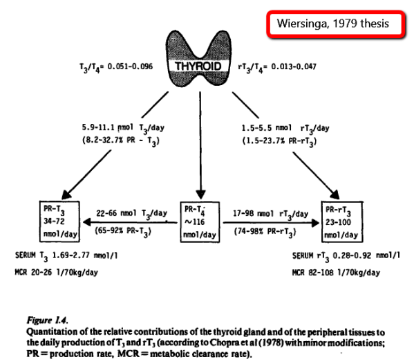 RT3 inhibits T4-T3 conversion. How worried should we be? – Thyroid ...
