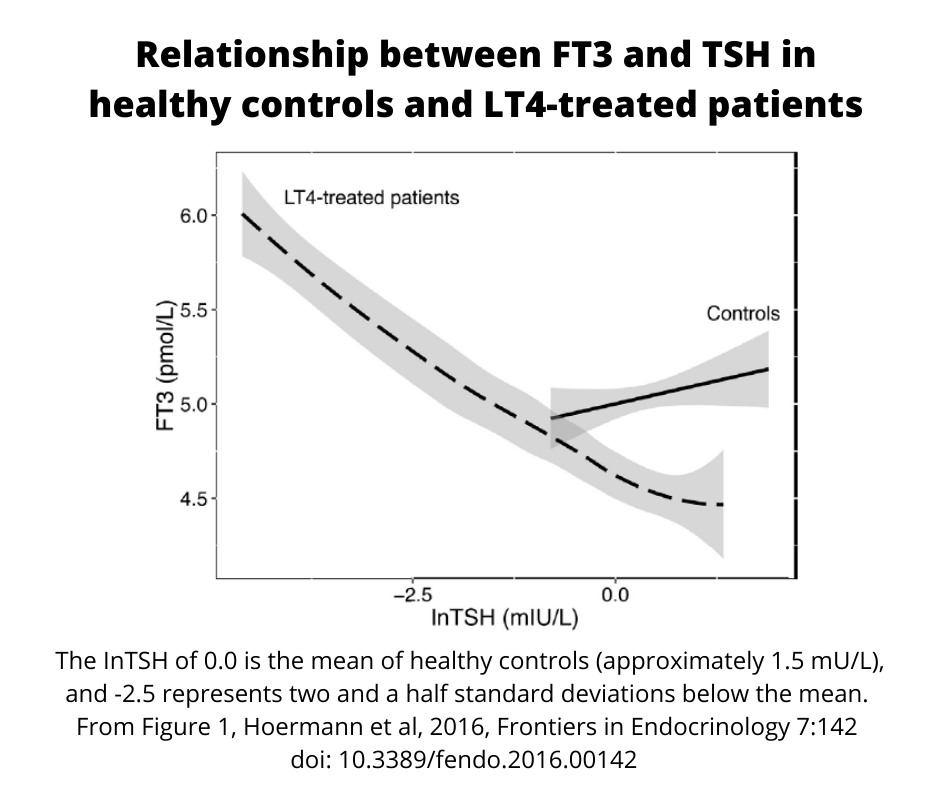 Relational Stability, part 4: The new thyroid paradigm – Thyroid ...
