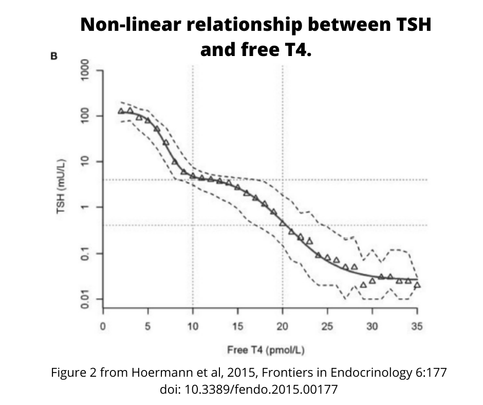 Relational Stability, part 4: The new thyroid paradigm – Thyroid ...