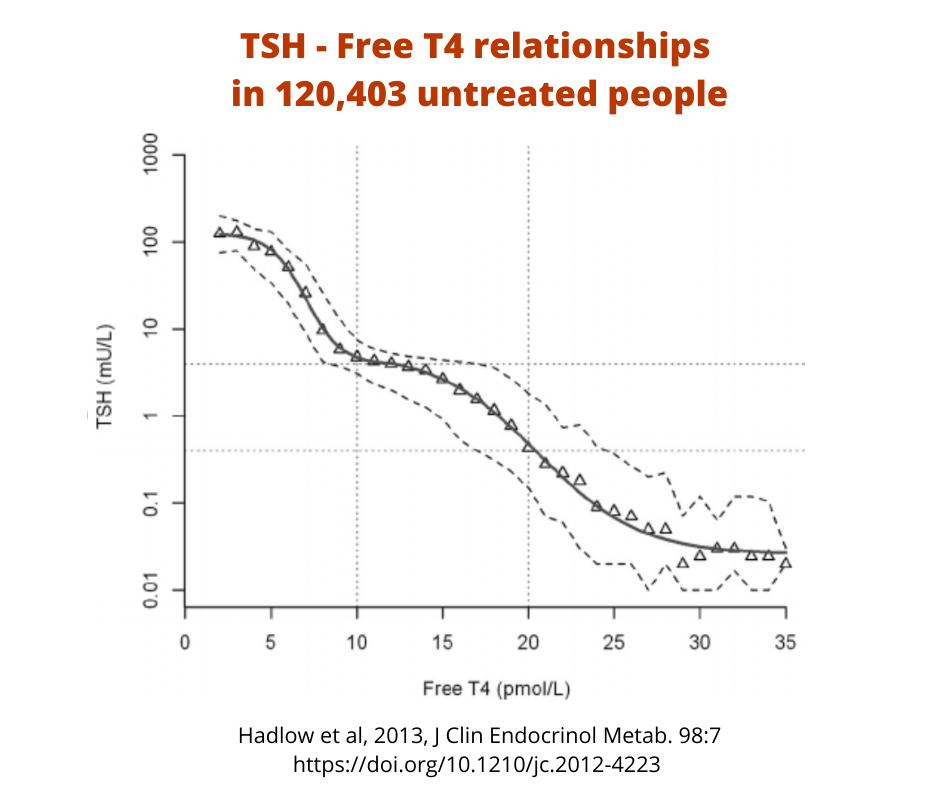 Summary: T3 secretion and T4-T3 conversion – Thyroid Patients Canada