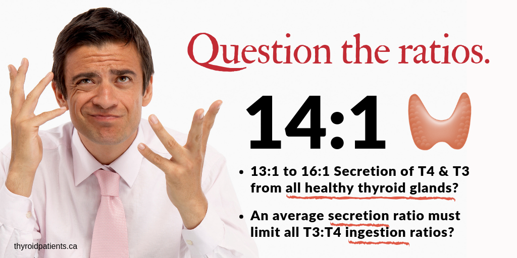 Summary: T3 secretion and T4-T3 conversion – Thyroid Patients Canada