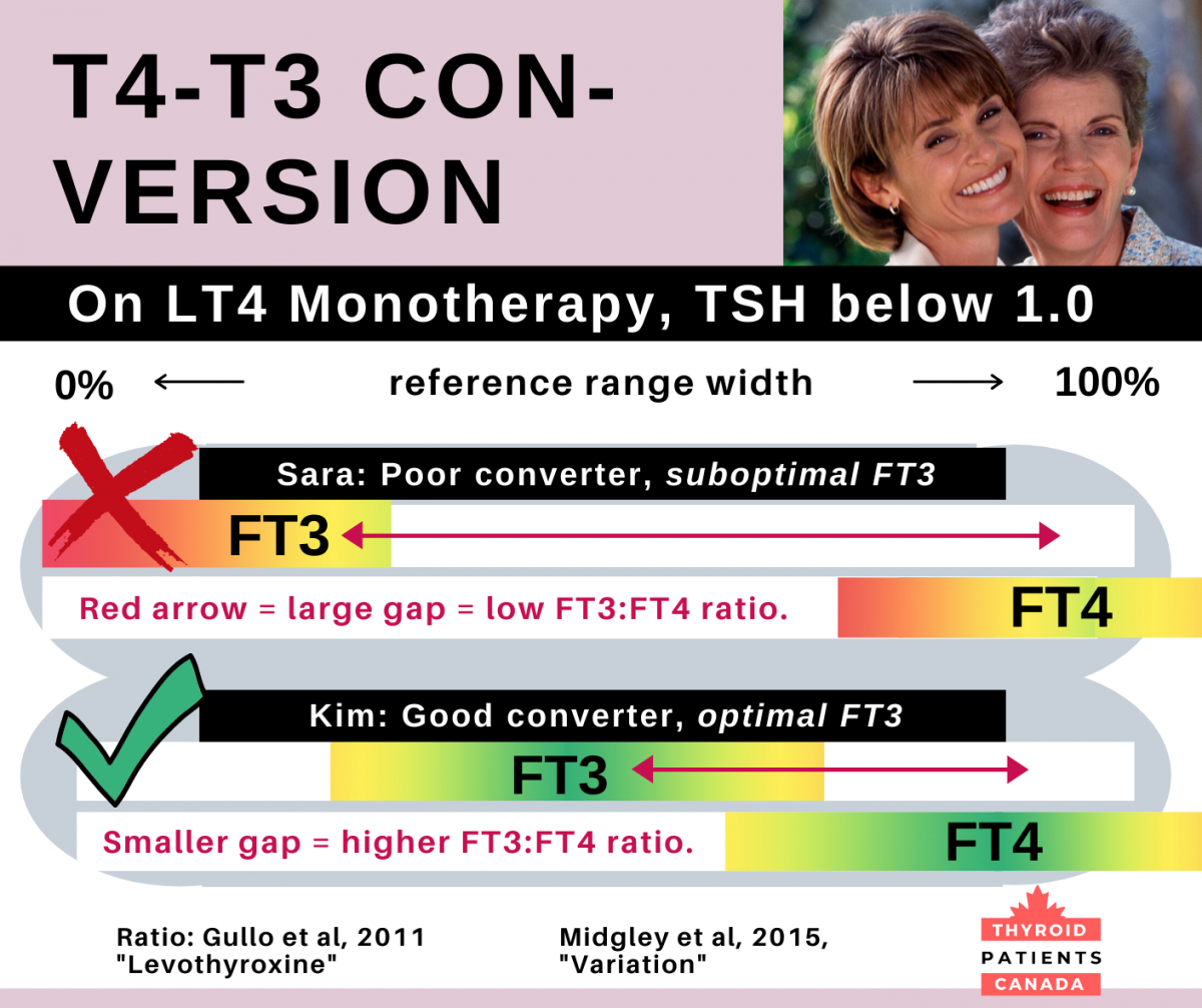 Memes and Infographics – Thyroid Patients Canada