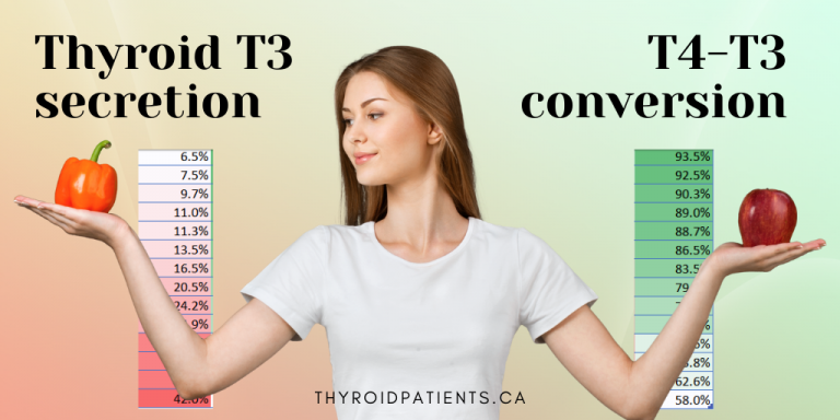 Summary: T3 secretion and T4-T3 conversion – Thyroid Patients Canada