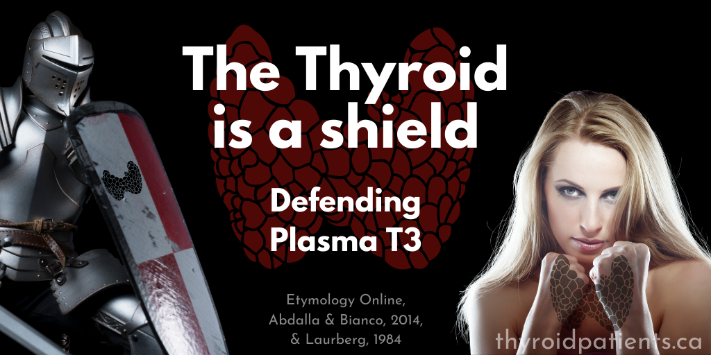 The thyroid gland is a T3 shield. Defend the unshielded. – Thyroid ...
