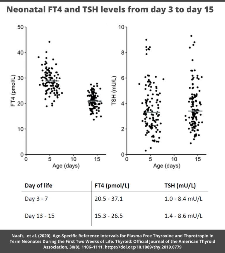 Pediatric and teenage TSH, FT4, and FT3 levels – Thyroid Patients Canada
